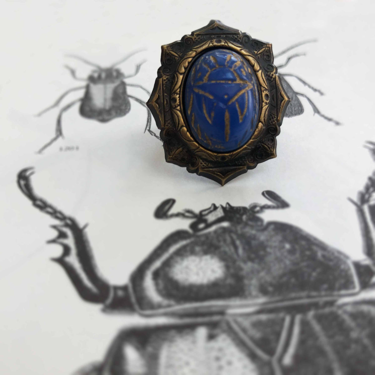 Blue Scarab Ring – Feather & Foxglove