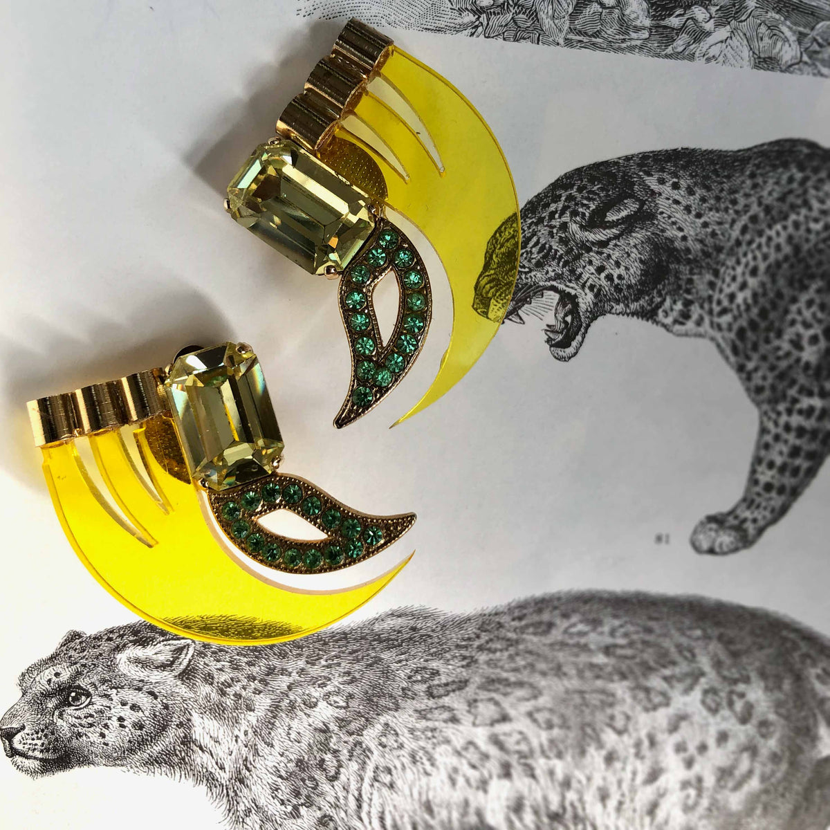 Claws on Point! – Feather & Foxglove