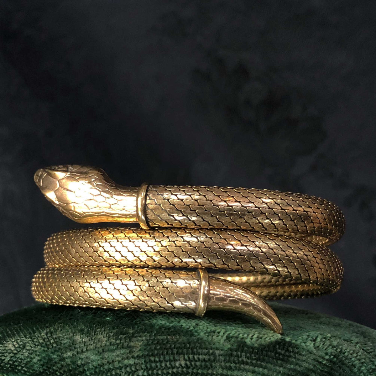 Scaled Serpent – Feather & Foxglove